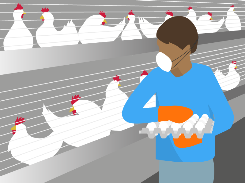 Ag Youth Work Guidelines – Canadian Agricultural Safety Association